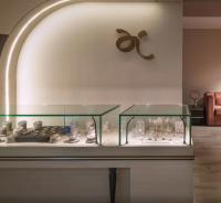 China Premium Acrylic Iron Jewelry Display Cabinet LED Lighting Versatile Island/Wall-Mounted Design for Luxury Malls Boutique for sale