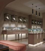 China Premium Acrylic Iron Jewelry Display Cabinet LED Lighting Versatile Island/Wall-Mounted Design for Luxury Malls Boutique for sale