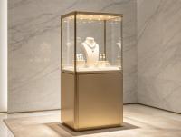 China GZowin Customizable Glass Display Cabinet LED Lighting for Luxury Jewelry Retail Shopping Malls-Durable High Quality Easy Clean for sale