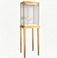 China Luxury Gold Vertical Jewelry Display Case, Glass Showcase for sale