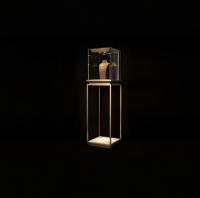 China Luxury Gold Frame Freestanding Vertical Jewelry Display Case, Glass Showcase for sale