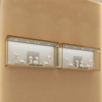 China Wall Mounted Jewelry Display Cabinet Metal Glass Wood Jewelry Wall Showcase for Store for sale