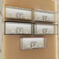 China Wall Mounted Jewelry Display Cabinet Metal Glass Wood Jewelry Wall Showcase for Store for sale