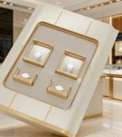 China Luxury Wall Mounted MDF Jewelry Display Cabinet with LED Lighting 2-Tier Necklace & Pendant Showcase for Jewelry Store Showroom for sale