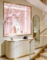 China Glass Jewelry Display Cabinet showcase Luxury Jewelry Display showcase Design Jewellery Store 3D Design for sale