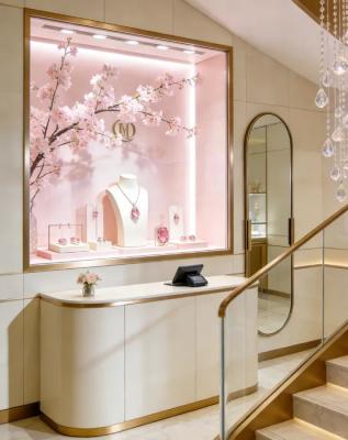 China Glass Jewelry Display Cabinet showcase Luxury Jewelry Display showcase Design Jewellery Store 3D Design for sale