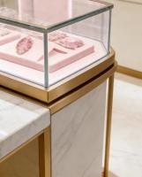 China Glass Jewelry Display Cabinet showcase Luxury Jewelry Display showcase Design Jewellery Store 3D Design for sale