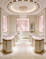 China Glass Jewelry Display Cabinet showcase Luxury Jewelry Display showcase Design Jewellery Store 3D Design for sale