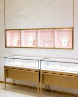 China Glass Jewelry Display Cabinet showcase Luxury Jewelry Display showcase Design Jewellery Store 3D Design for sale