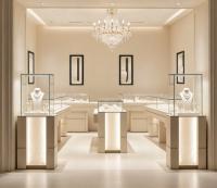 China Minimalist Luxury Jewelry Display Case Transparent Glass with Metal Accents, Customizable for Both High-End Jewelry and Watches for sale