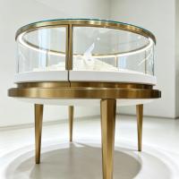 China Sealed Dust-Proof Jewelry Shop Design with Easy Clean Surface and Customizable Size for Luxury Boutiques for sale