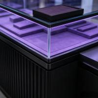 China Upright Display Case with 50kg Per Shelf Weight Capacity Built-in High-CRI LED Lighting and Adjustable Glass Shelves for sale