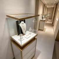 China Customizable Logo Luxury Jewelry Store Layout with Shatter-resistant Tempered Glass and LED Lighting Displaycases for sale