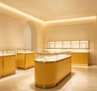 China Luxury Front Showcase with 50kg Per Shelf Capacity, Powder Coated Finish, and Front Opening Soft-Close Doors for sale