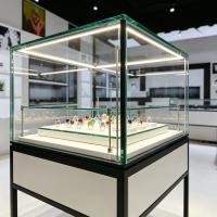 China Luxury Jewelry Store Layout with Aluminium Frame Material 90KG Display Case Weight and Custom Logo Signage for sale