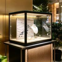 China Luxury Front Showcase with Front Opening Soft-Close Mechanism, 5 Adjustable Glass Shelves, and Customized Dimensions for sale