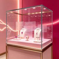 China Front Opening With Soft-Close Mechanism Upright Display Case With Built-in High-CRI LED Lighting and Adjustable Shelves for sale
