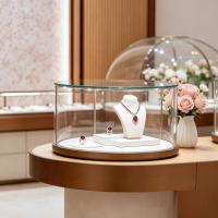 China Luxury Front Showcase with 5 Adjustable Glass Shelves, Secure Magnetic Lock, and Tempered Glass And Stainless Steel Construction for sale