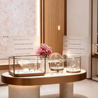 China Luxury Front Showcase with 5 Adjustable Glass Shelves, Secure Magnetic Lock, and Tempered Glass And Stainless Steel Construction for sale