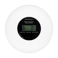 China EN Standard Zigbee Carbon Monoxide Detector for sale