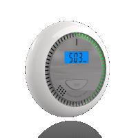 China Durable CO Carbon Monoxide Detector with 10 Year Service Life SGS Tested and Electrochemical Sensor for Reliable Detection for sale