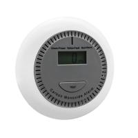 China Battery Operated Smart Carbon Monoxide Detectors App Controlled 10 Year CO Detector Customized for sale