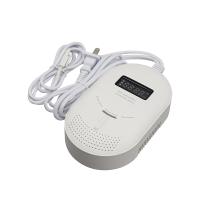 China Customized Carbon Monoxide Gas Detectors Commercial AC Powered Carbon Monoxide Detector for sale