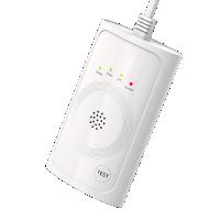 China SGS Tested Smart Gas Detector Compact Residential Methane Detector With 30 Month Warranty for sale