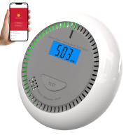 China Tuya Smart WiFi Connectivity Carbon Monoxide Detector with Electrochemical Sensor and 10-Year Lifespan CO Alarm for sale