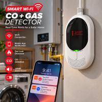 China Smart WiFi CO and Gas Detector for Natural Gas LPG Propane Leak and Carbon Monoxide Alarm for sale