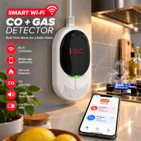 China 2-in-1 Carbon Monoxide and Combustible Gas Detector with Digital Display for Kitchen and Home for sale