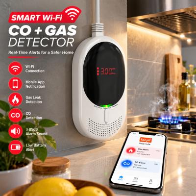 China 2-in-1 Carbon Monoxide and Combustible Gas Detector with Digital Display for Kitchen and Home for sale
