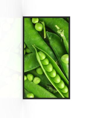 China 55-inch 4000nits IP67 Waterproof Outdoor LED Display Panel with Infrared Protection and 280W Power for sale