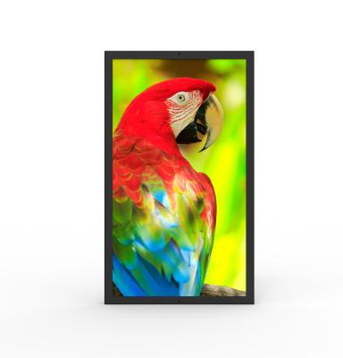 China 32 Inch 3000 Nits Outdoor Digital Signage Display with IP67 Waterproof and IK10 Impact Resistance - 1920×1080 Resolution for sale