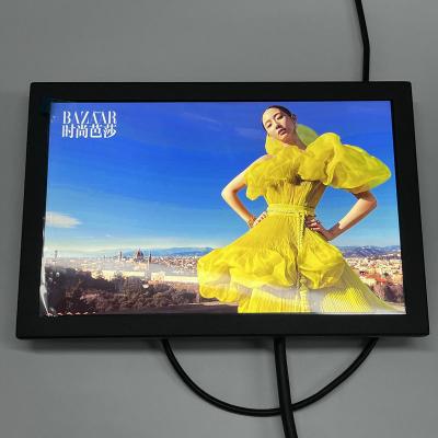 China 10.1 Inch LED IPS LCD Display Panel 1920x1200 Resolution 2000 Nits Brightness Industrial Monitor for sale