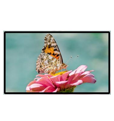 China 32-Inch Wall Mounted Digital Signage with 700 Cd/m² Brightness, Android 11 OS, 2GB RAM and 16GB Storage for sale