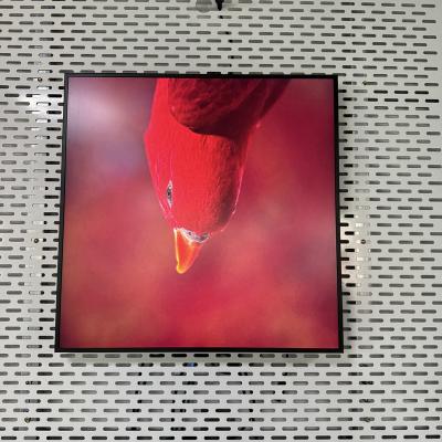 China 948×948 Square All-in-One Digital Signage with Android 11, 178° Viewing Angle and 100-240V AC Power for sale