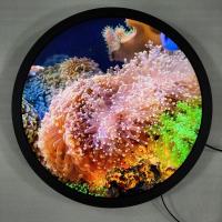 China 23.6 Inch Circular Digital Signage Display with 1280x1280 Resolution and Quad-core Cortex-A53 Processor for sale
