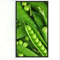 China 55 Inch IP67 Waterproof Outdoor Digital Signage 3000 Nits High Brightness LCD Advertising Display for sale