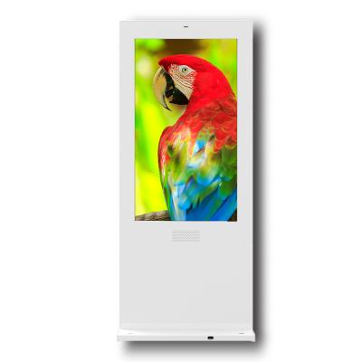 China 55 Inch IP65 Waterproof Outdoor Digital Signage 3000 cd/m² Brightness for Retail Stores and Elevators for sale