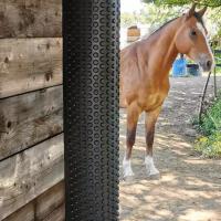 China SBR Material Horse Stable Mats Round Stud Rubber Hammered Surface for sale