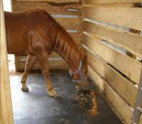 China Traction Surface Horse Stable Mats Grooved Bottom Rubber Trailer Mats for sale