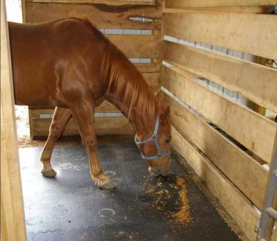 China Traction Surface Horse Stable Mats Grooved Bottom Rubber Trailer Mats for sale