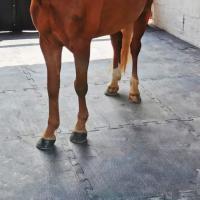 China Grey Blue Interlocking Stable Mats 100% Natural Rubber Thickness 17mm for sale