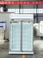 China Plug-in Deep Capacity Upright Glass Door Refrigerator Commercial Display Chiller & Freezer for sale