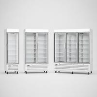 China Deep Capacity Upright Reach In Cooler Freezer Glass Door Merchandiser R290 115V Inverter compressor Eco-friendly for sale