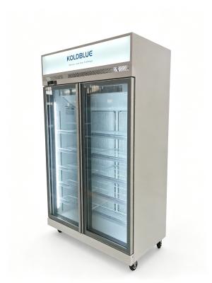 China R290 Eco Refrigerant Display Freezer With Customizable Cabinet And Top Light Box for sale