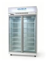China R290 Eco Refrigerant Display Freezer With Customizable Cabinet And Top Light Box for sale