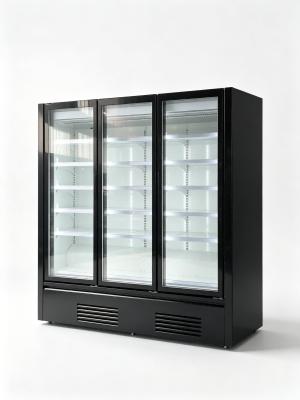 China R290 Self‑contained Display Freezer with Adjustable Shelves for Retail Supermarket Use for sale
