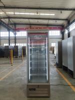 China Single Anti-fog Glass Door Upright Freezer Commercial Display Freezer for Retail for sale